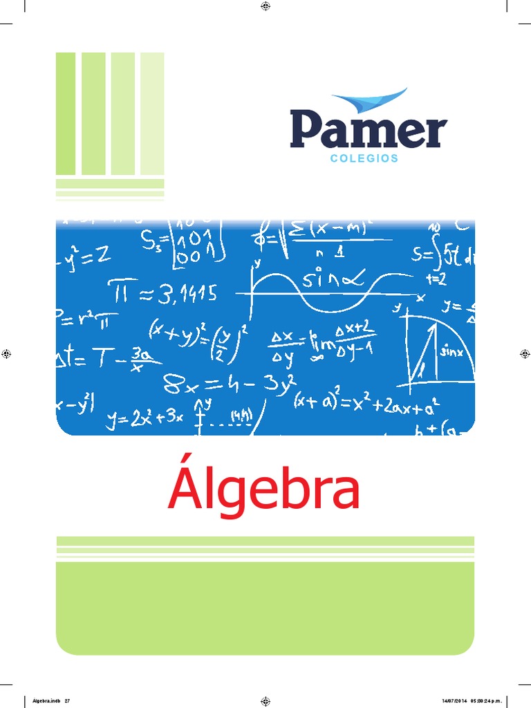 02 Álgebra | PDF | Función (Matemáticas) | Ecuaciones