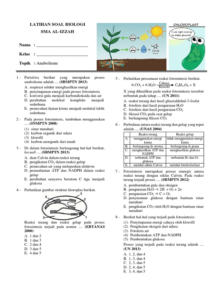 Latihan Soal Metabolisme 2 | PDF