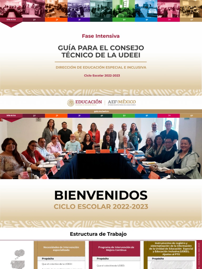 Guia UDEEI Fase Intensiva 22-23 15.08.22 | PDF | Educación especial ...