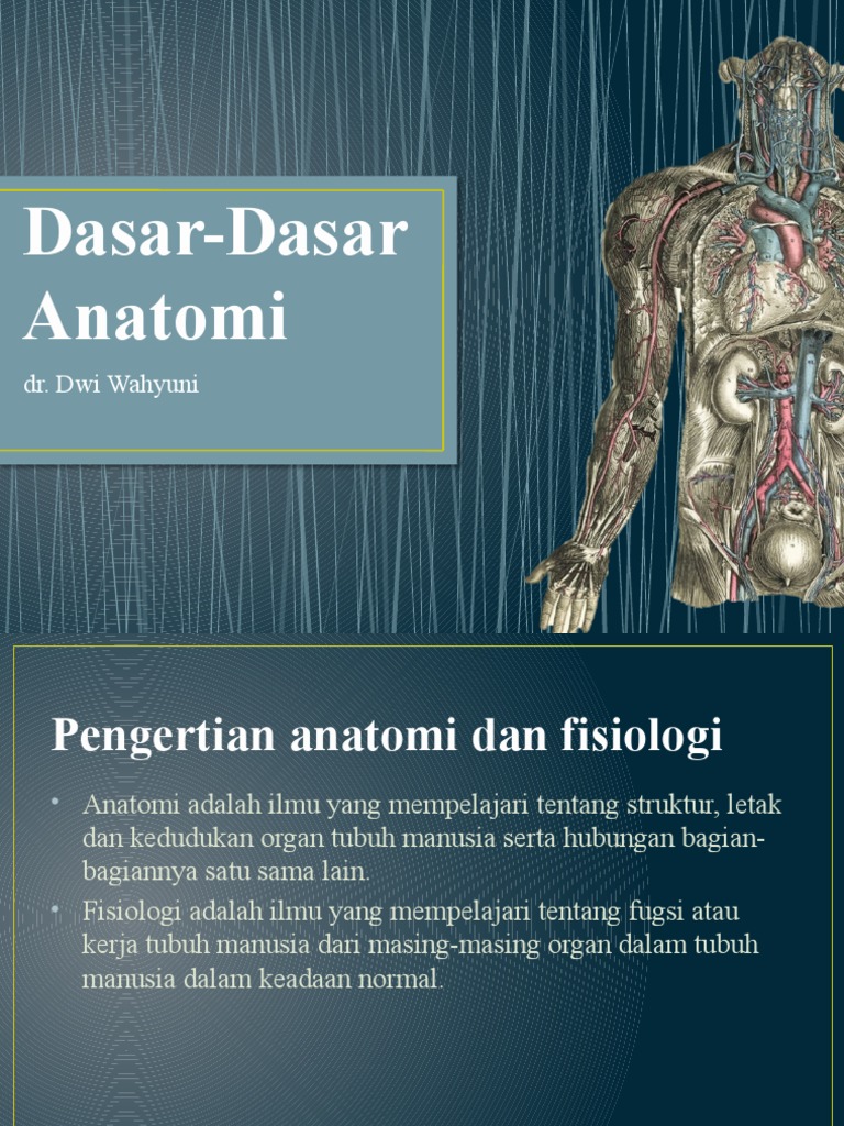 01 Dasar-Dasar Anatomi | PDF