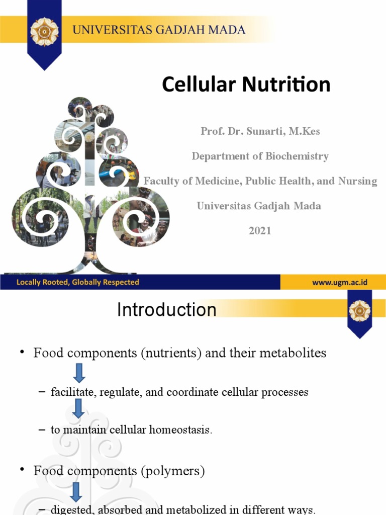 Final Celular Nutrition | PDF | Eating | Signal Transduction