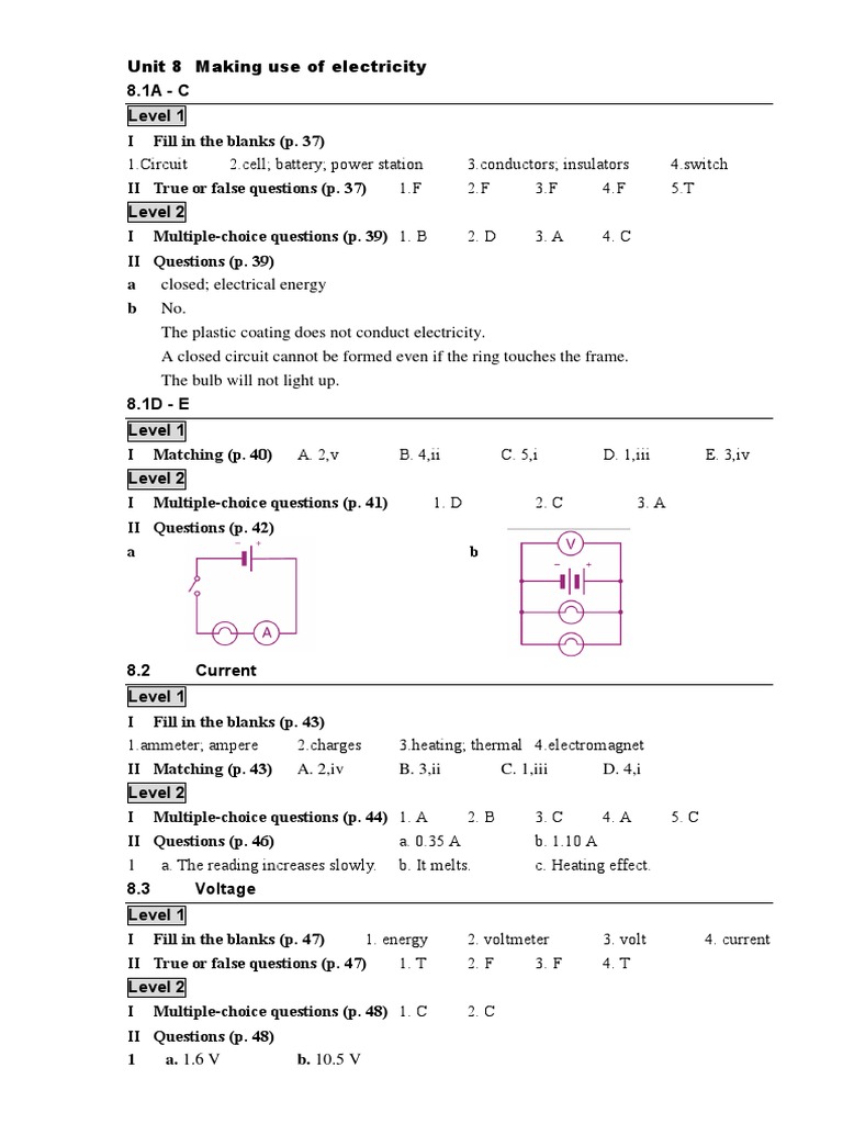 Making use of electricity unit test | PDF
