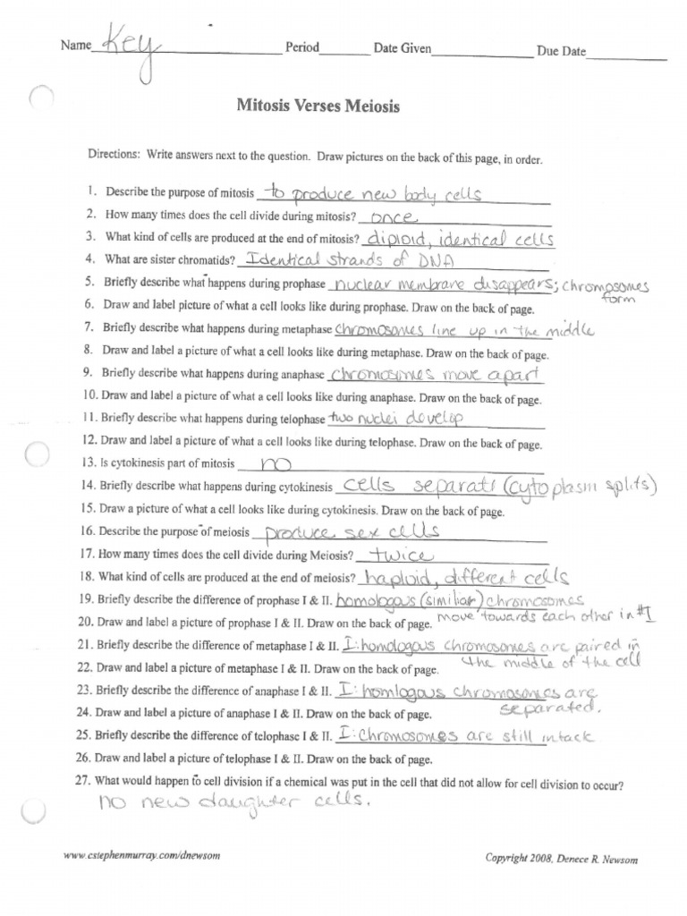 Mitosis Vs Meiosis Answers | PDF