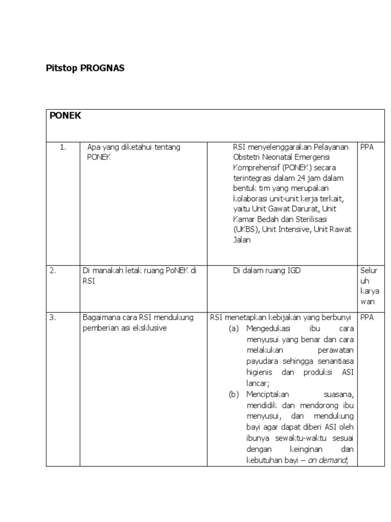 Pitstop PROGNAS 2 | PDF