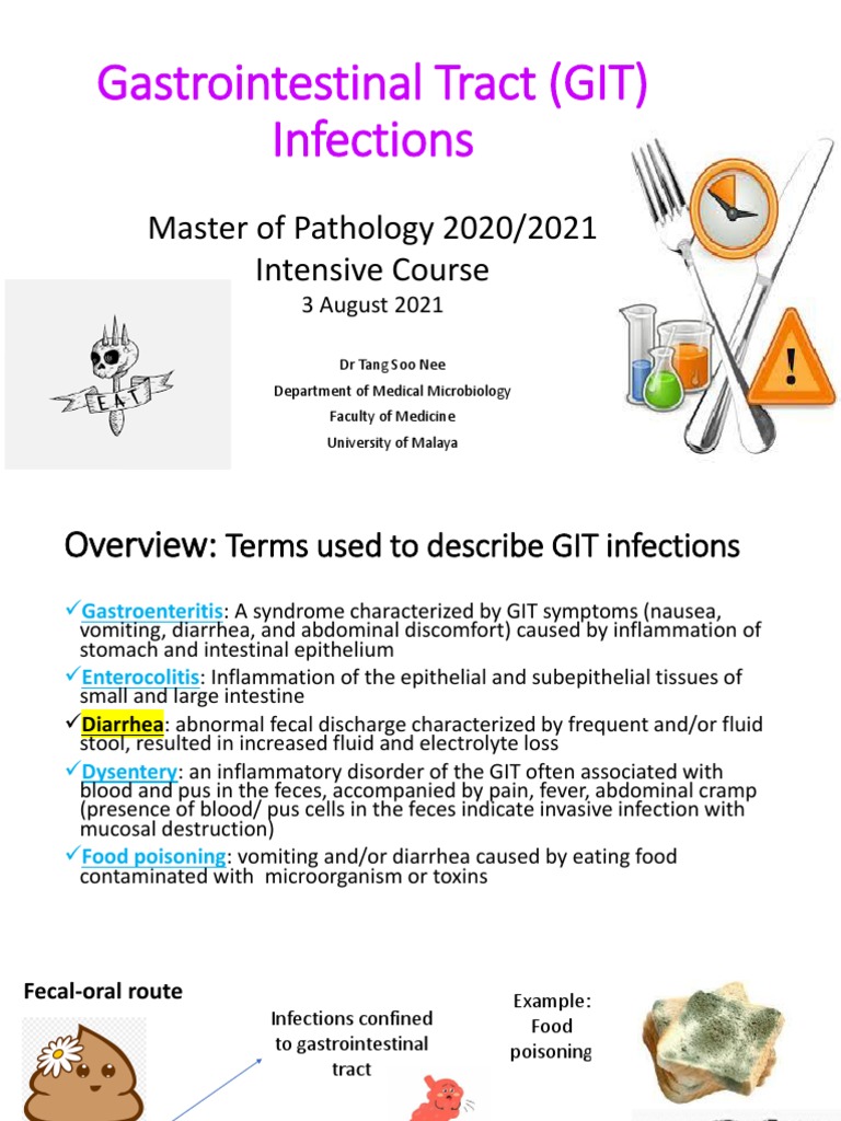 GIT Infection | PDF | Cholera | Gastrointestinal Tract
