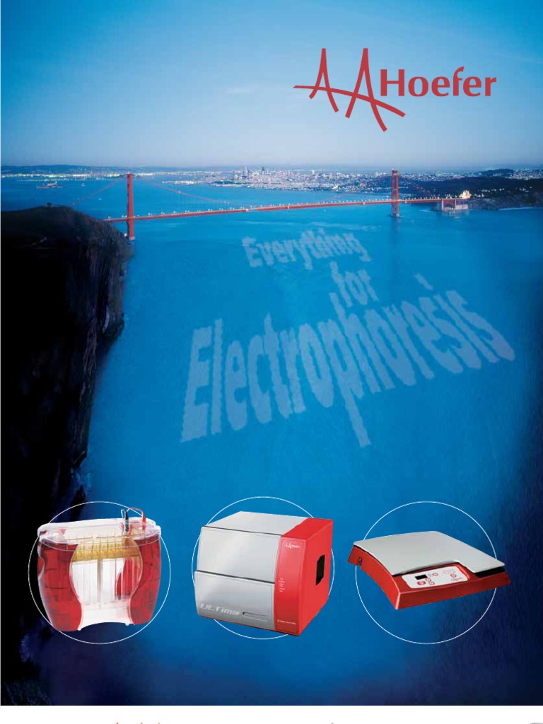 Hoefer Catalog Online | Download Free PDF | Gel Electrophoresis ...