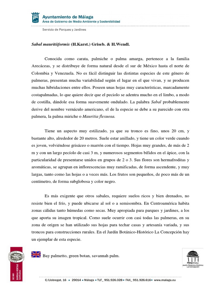 Sabal Mauritiiformis | PDF