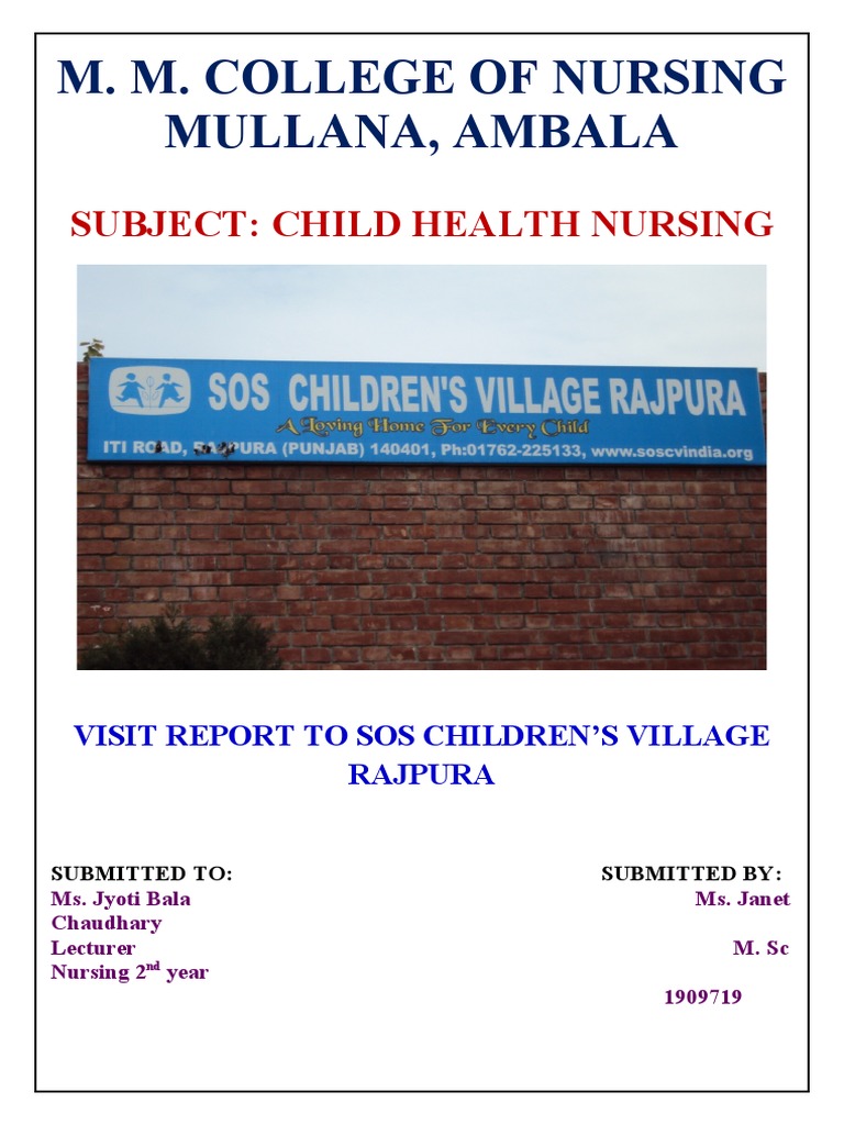 Visit Report Sos | PDF