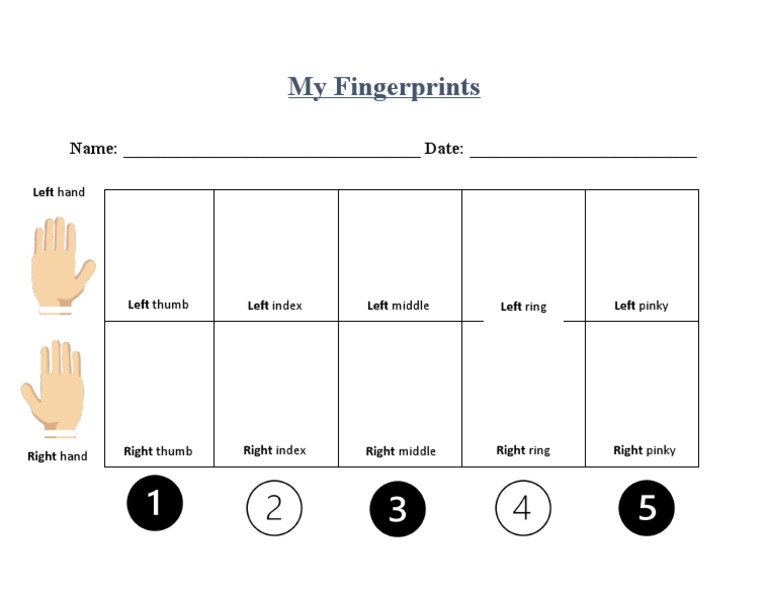 Fingerprints Worksheet | PDF