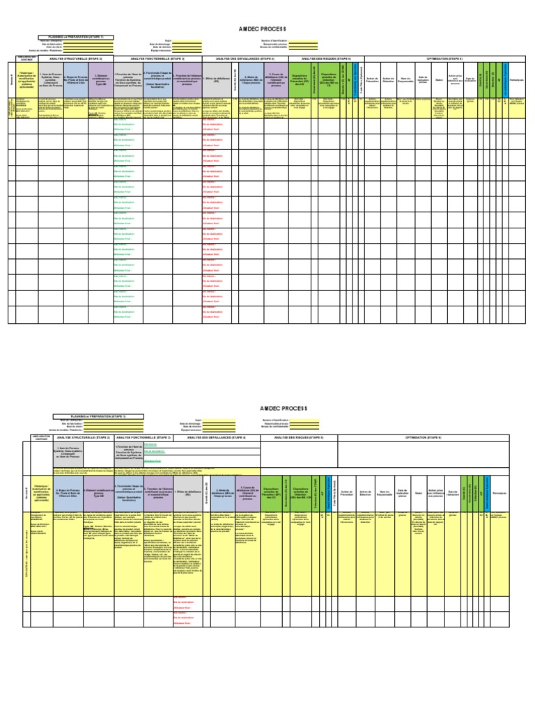 Modèles de Formulaires - AMDEC Process & | PDF
