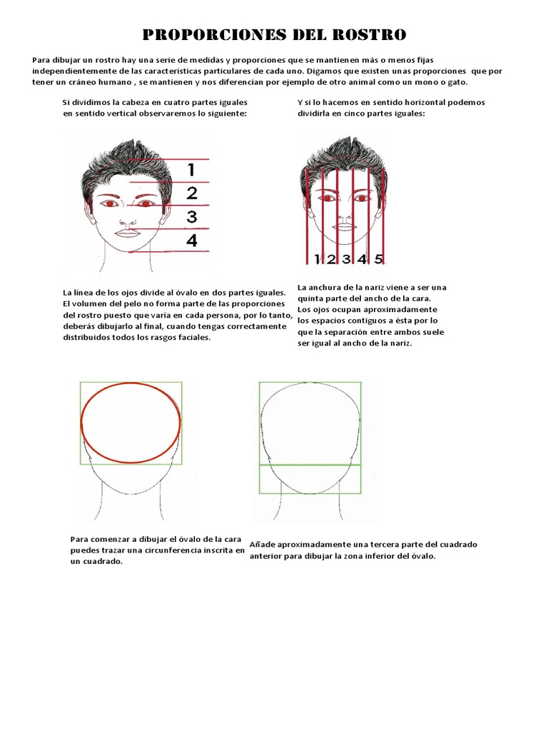 Proporciones Del Rostro | PDF | Cara | Ojo