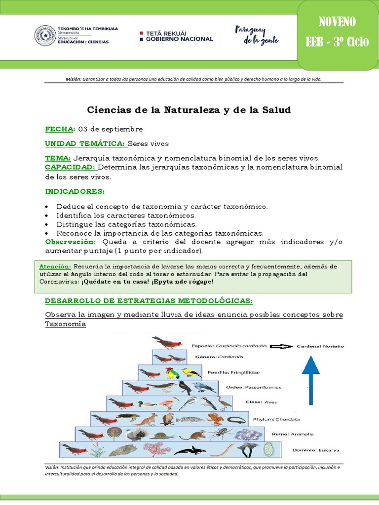 Ciencias 9° Grado 03.09 | PDF | Taxonomía (biología) | Especies
