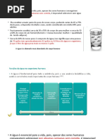 Bula Neo B | PDF | Metabolismo | Vitamina B12
