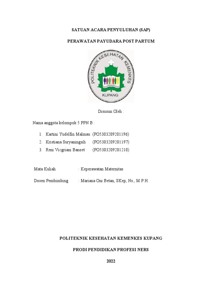 Satuan Acara Penyuluhan (Sap) Perawatan Payudara Post Partum | PDF