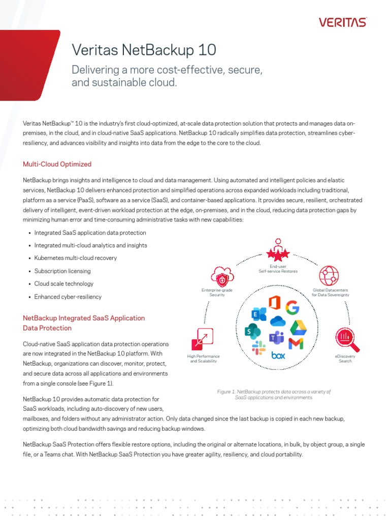 Netbackup 10 Data Sheet Pdf Cloud Computing Software As A Service