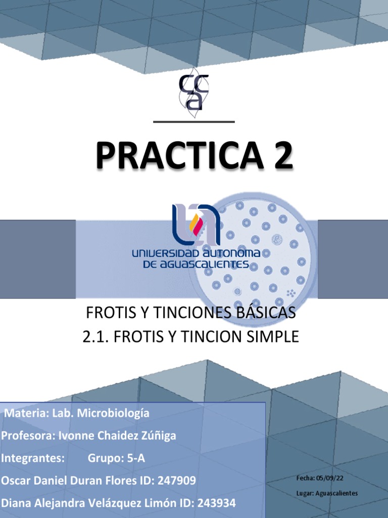 Practica 1.2 Tincion | PDF | Tinción | Las bacterias