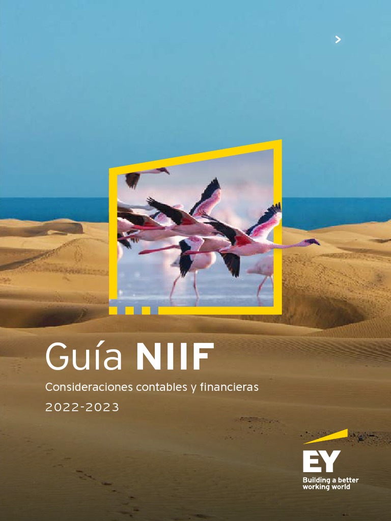 Guía NIIF 2022-2023 Consideraciones Contables-Financieras | PDF ...