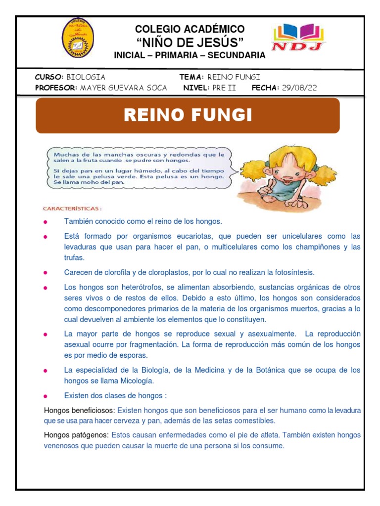 Reino Fungi Bio Pre Ii | PDF | Hongo | Biología