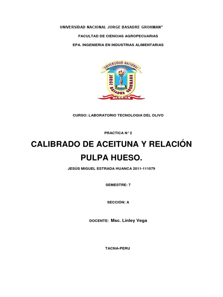 Calibrado y Relación Pulpa-Hueso Aceitunas | PDF | Aceituna