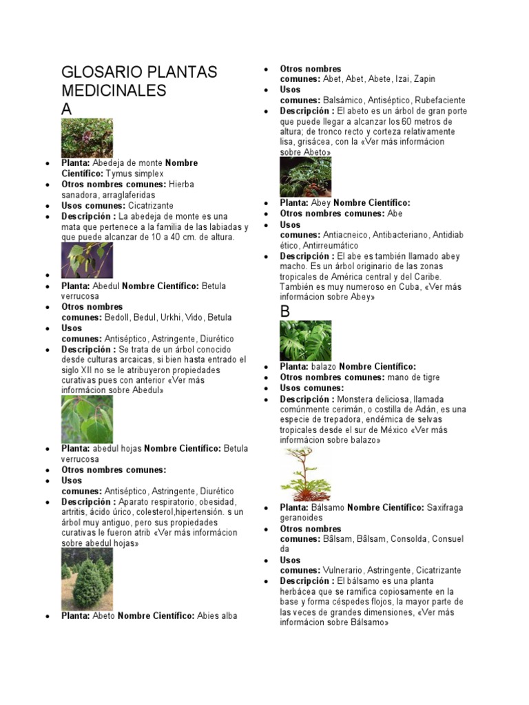 Glosario Plantas Medicinales | PDF | Phaseolus Vulgaris | Plantas ...