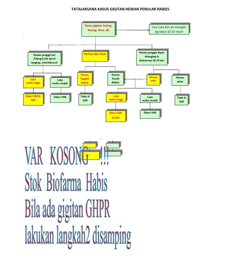 Flow Chart Tatalaksana Kasus GPHR | PDF