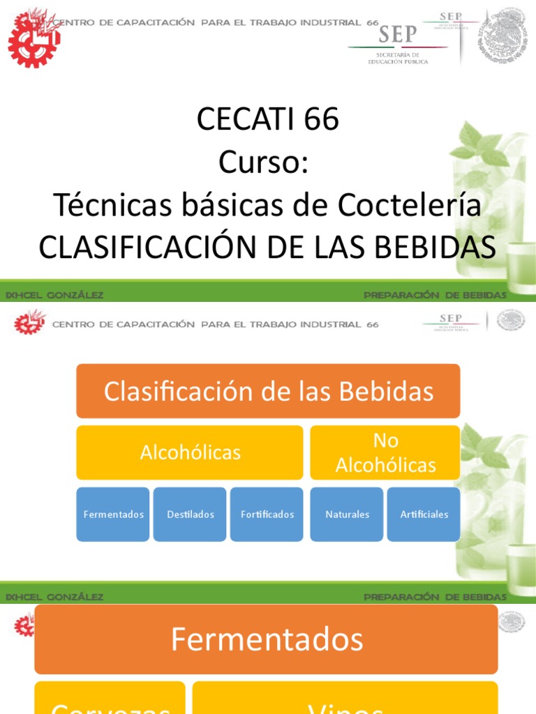 Clasificación de Las Bebidas | PDF | brandy | Whisky