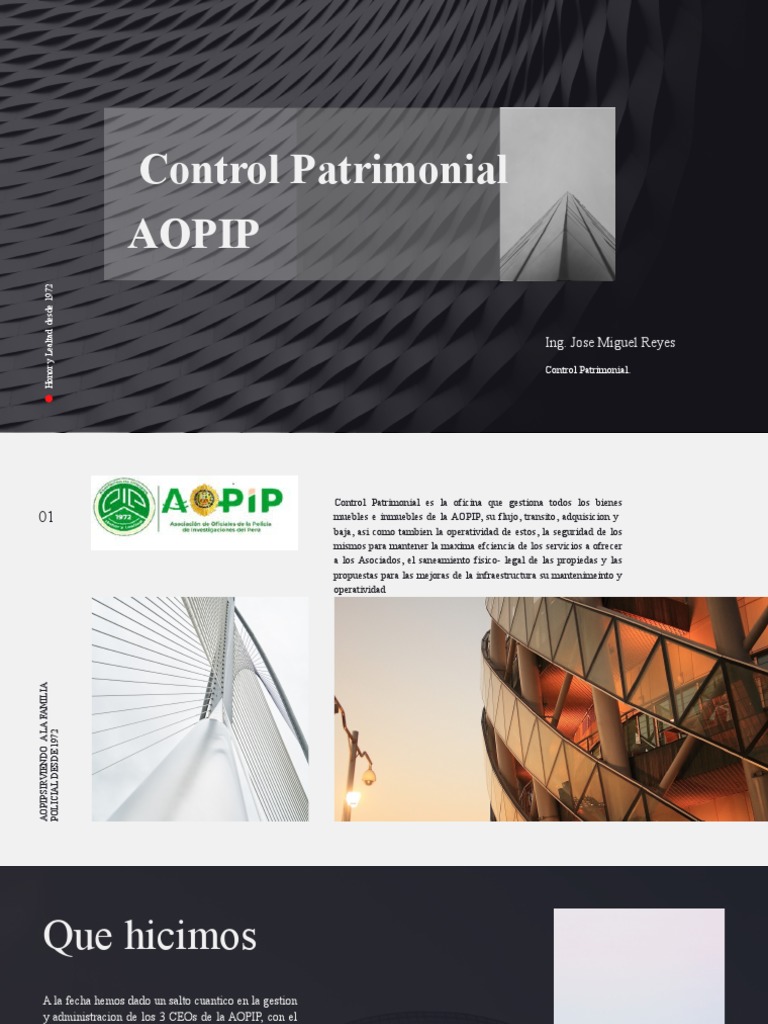 Control Patrimonial | PDF
