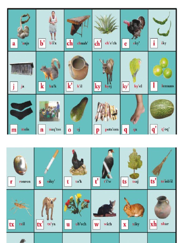 Abecedario Mam Ilustrado | PDF