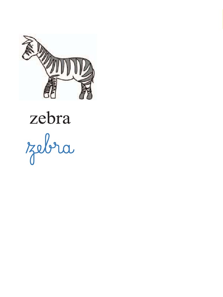 Zebra | PDF