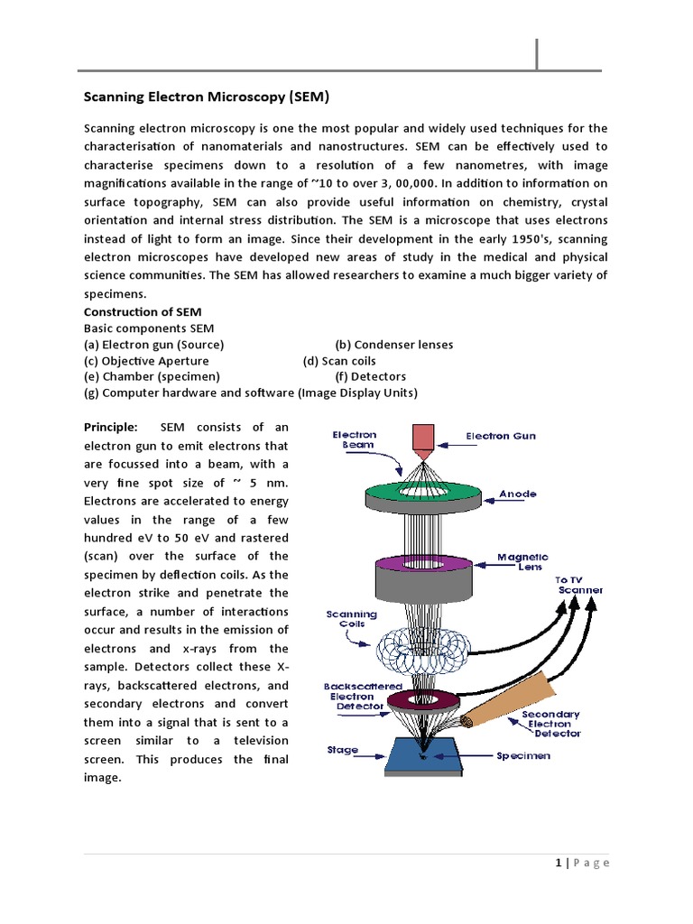 SEM and TEM Notes | PDF | Scanning Electron Microscope | Transmission ...