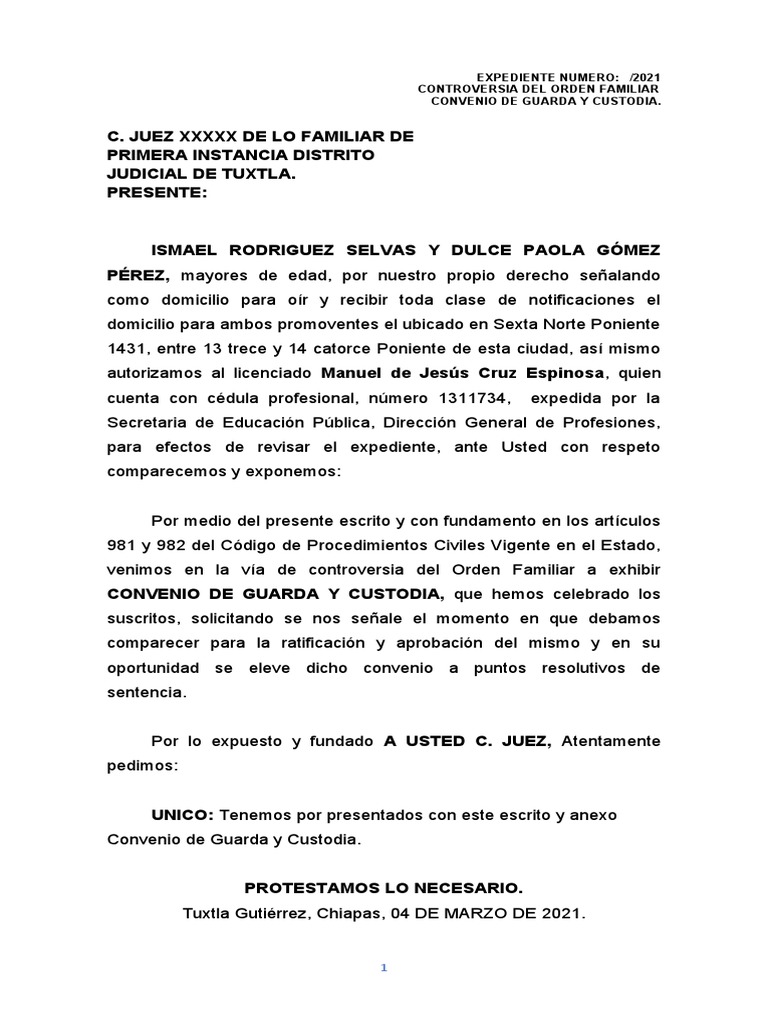 Controversia de Orden Familiar | PDF