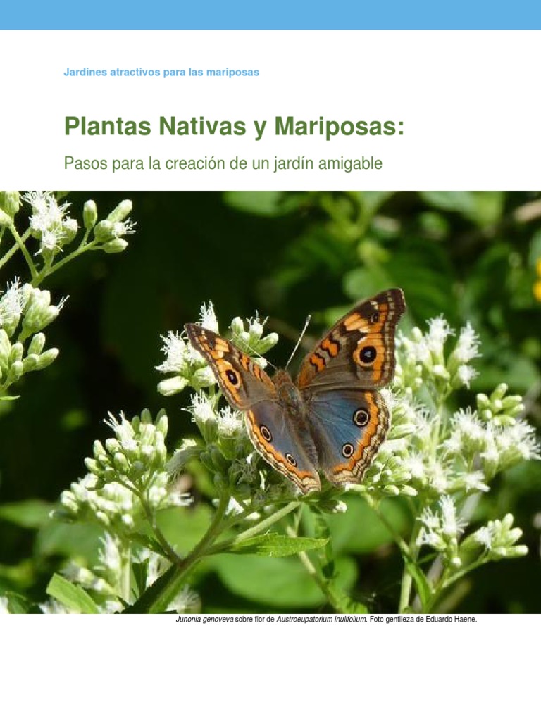 Jardines de Mariposas | PDF | Lepidópteros | Mariposa