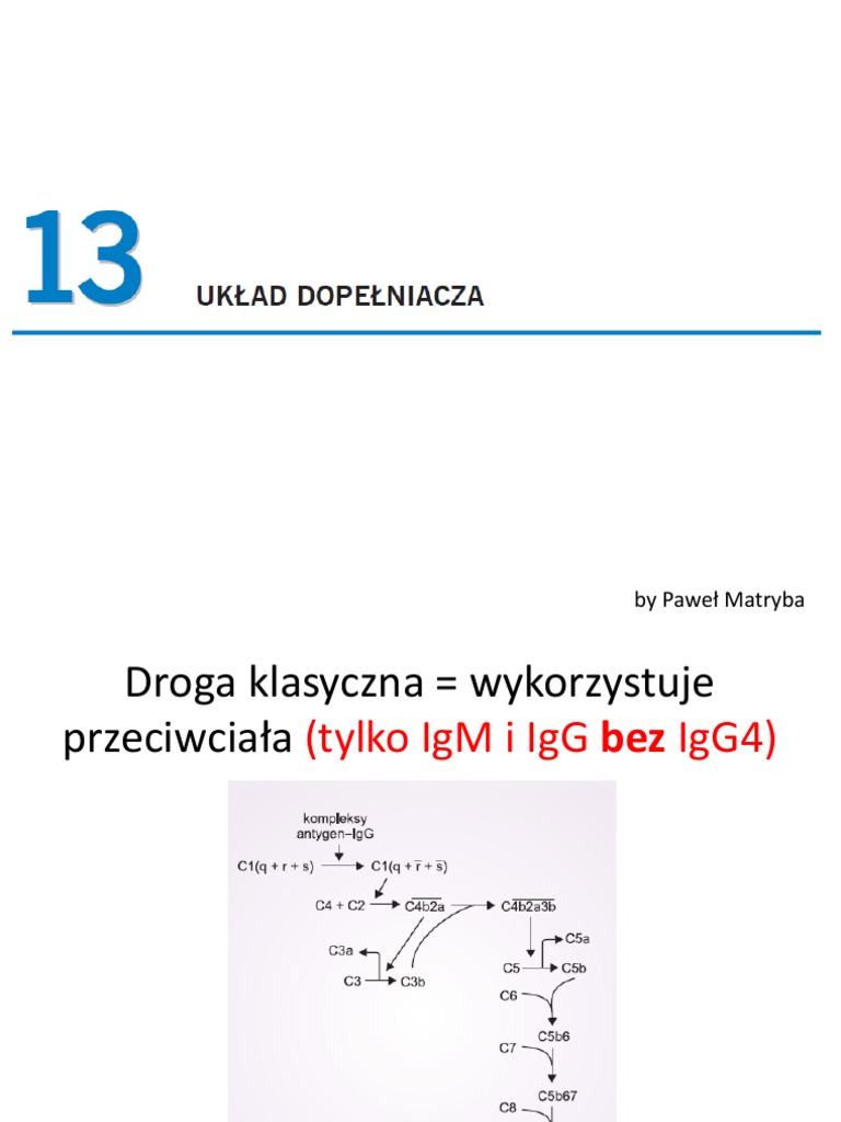 T13 Dopelniacz 22 | PDF