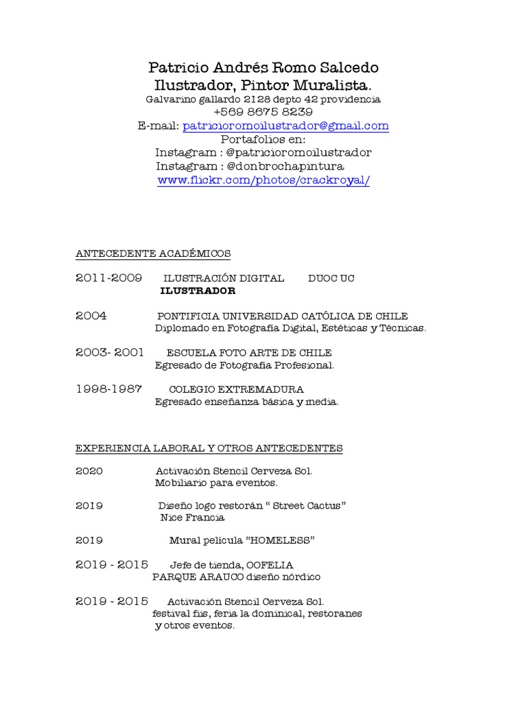 CV Patricio Romo | PDF | Las artes
