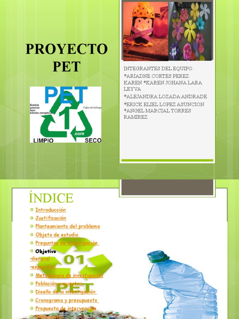 Proyecto Pet Finalizado Diapositivas | PDF | Reciclaje | Residuos
