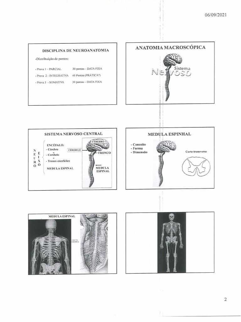 medula-pdf