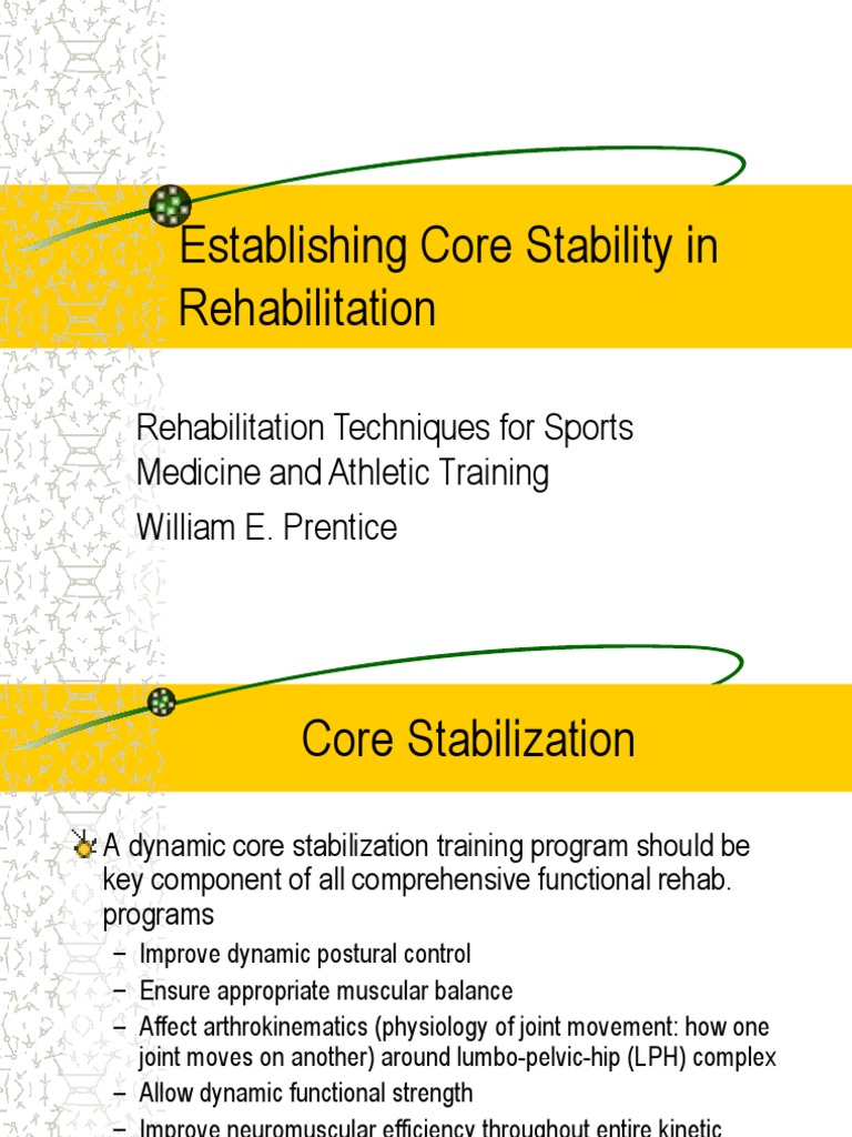 Establishing Core Stability in Rehabilitation | PDF | Skeletal Muscle ...