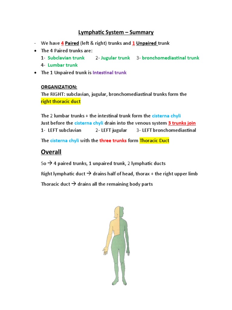 Lymphatic System | PDF