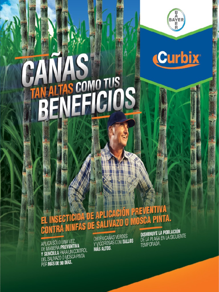 Curbix Folleto | PDF