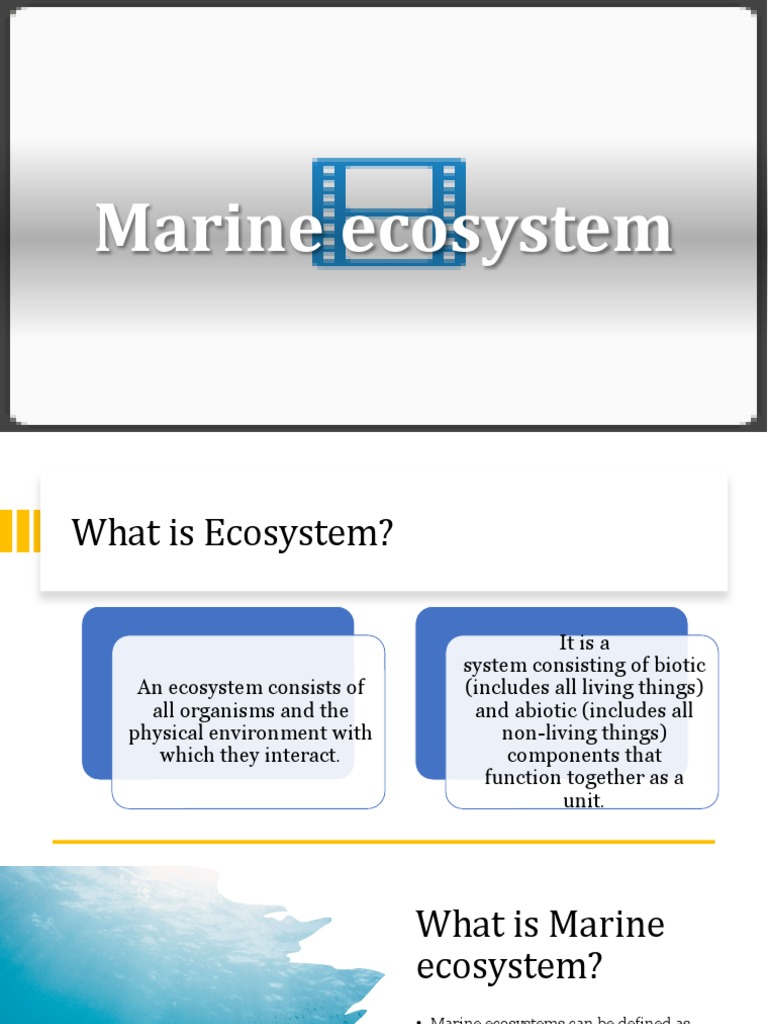 Marine Ecosystem | PDF | Ecosystem | Oceans
