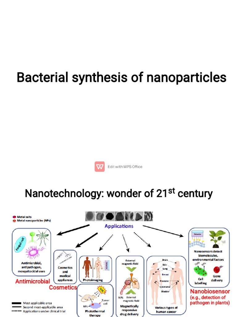 Bacterial Synthesis | PDF | Nanoparticle | Bacteria