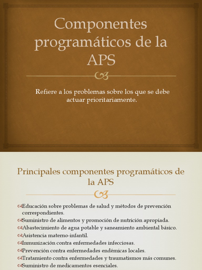 Componentes Programáticos de la APS | PDF
