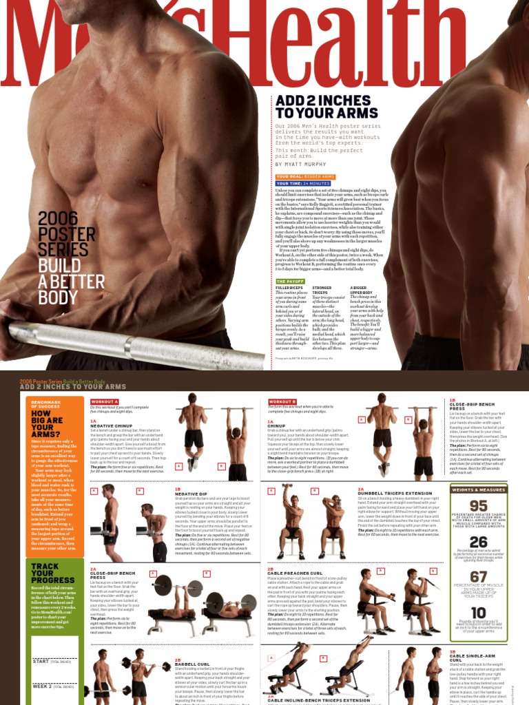 Add 2 Inches To Your Arms (8 of 10) | PDF | Arm | Elbow