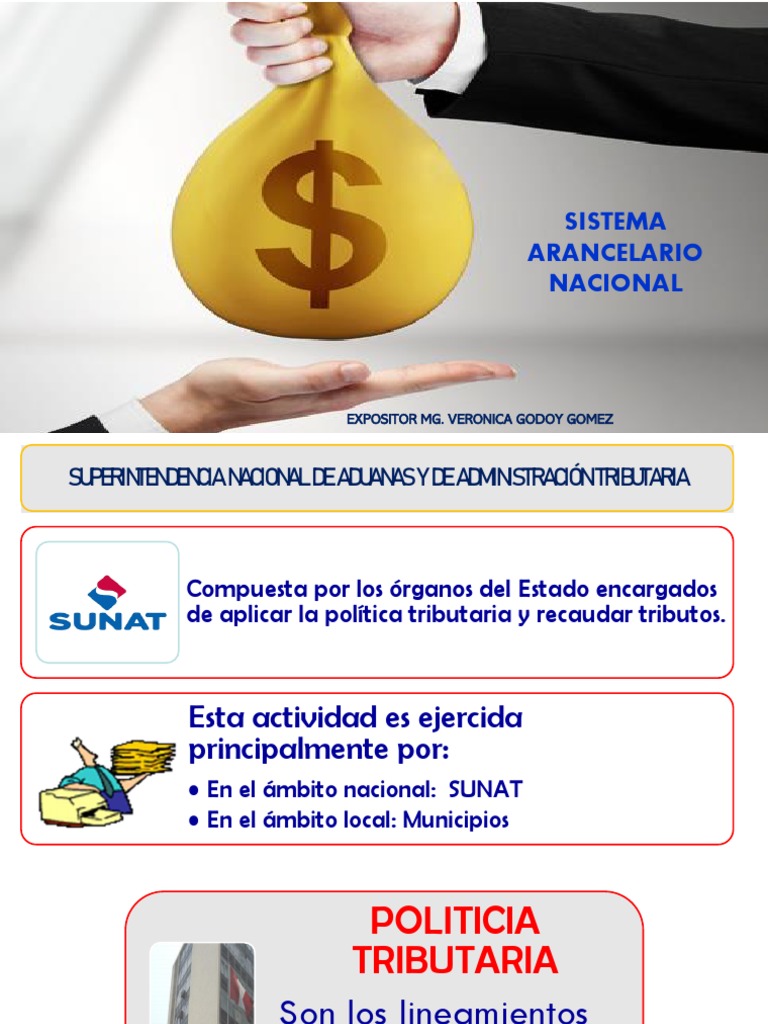 Negocios Internacionales Pdf Impuestos Arancel