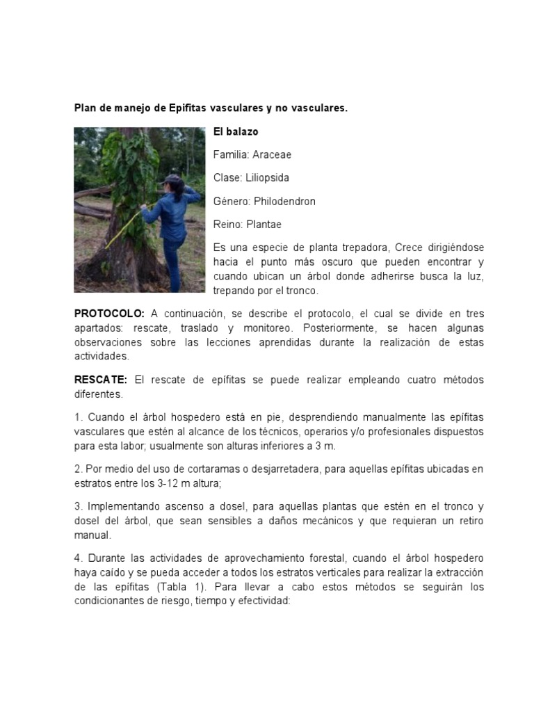 Manejo de Epifitas Vasc. y No Vasc. | PDF | Los bosques | Plantas