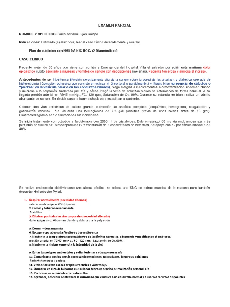 Cuadro de Nanda Noc y Nic, Eva, Ejecucion - Ejemplo | PDF | Enfermería ...