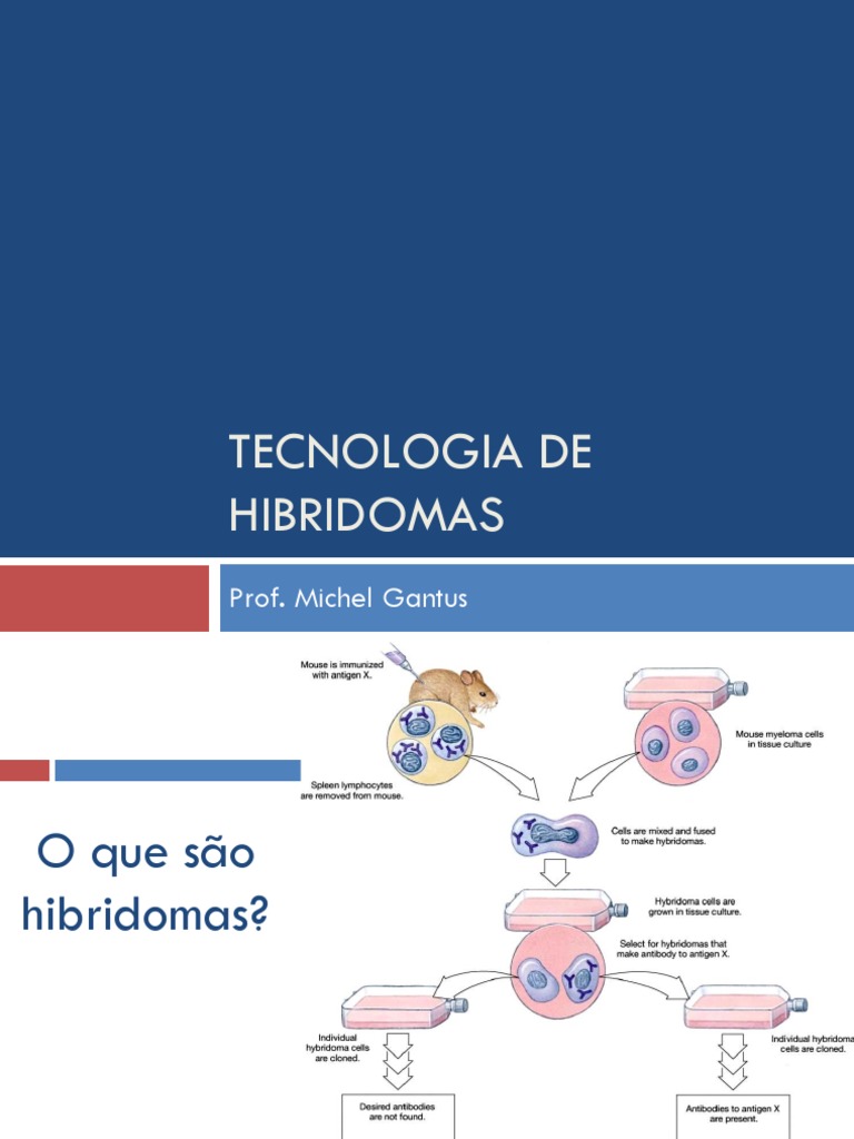 Tecnologia de Hibridomas | PDF | Anticorpo | Especialidades médicas