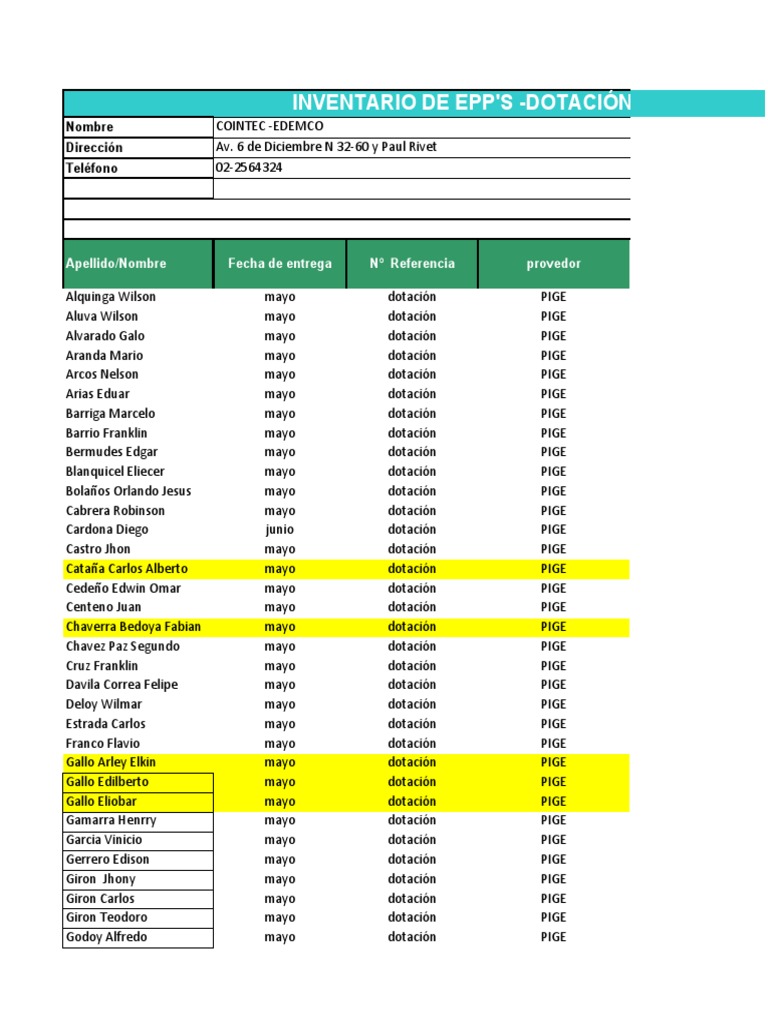 Inventario de EPP - Octubre | PDF