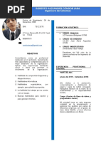 Modelo Currículum | PDF