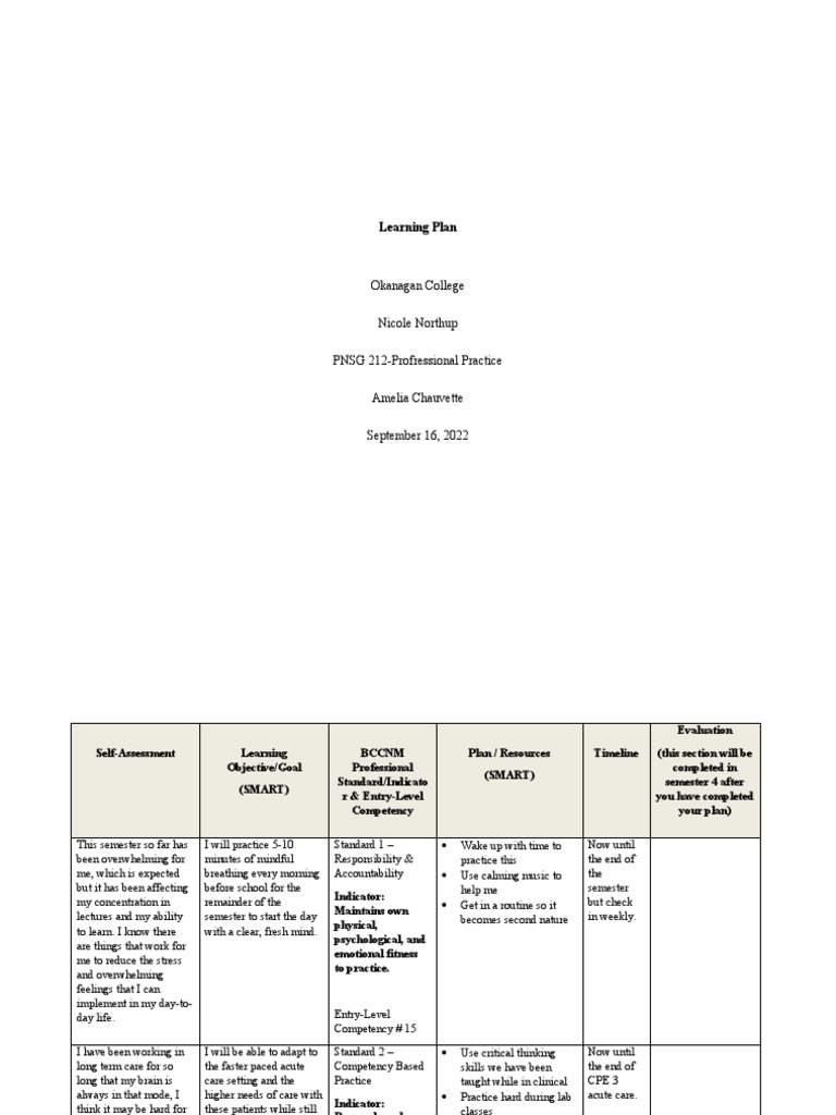 Learning Plan | Download Free PDF | Patient | Learning
